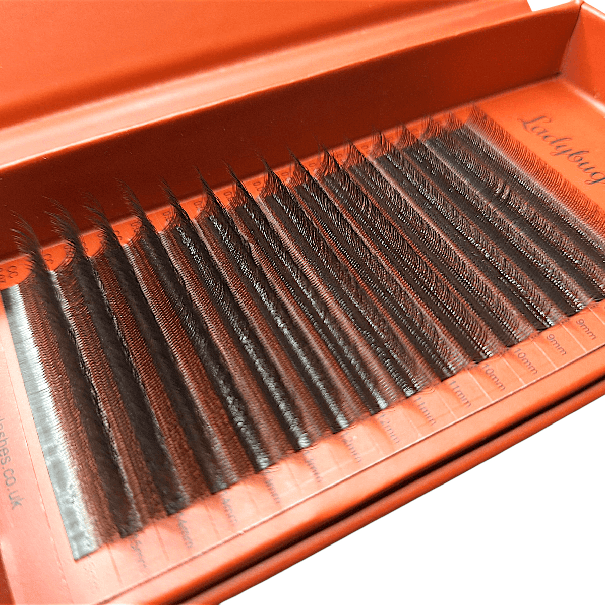 🤎Brown W Lash Tray – 16 Rows Single Length 🤎 – LADYBUGLASHES