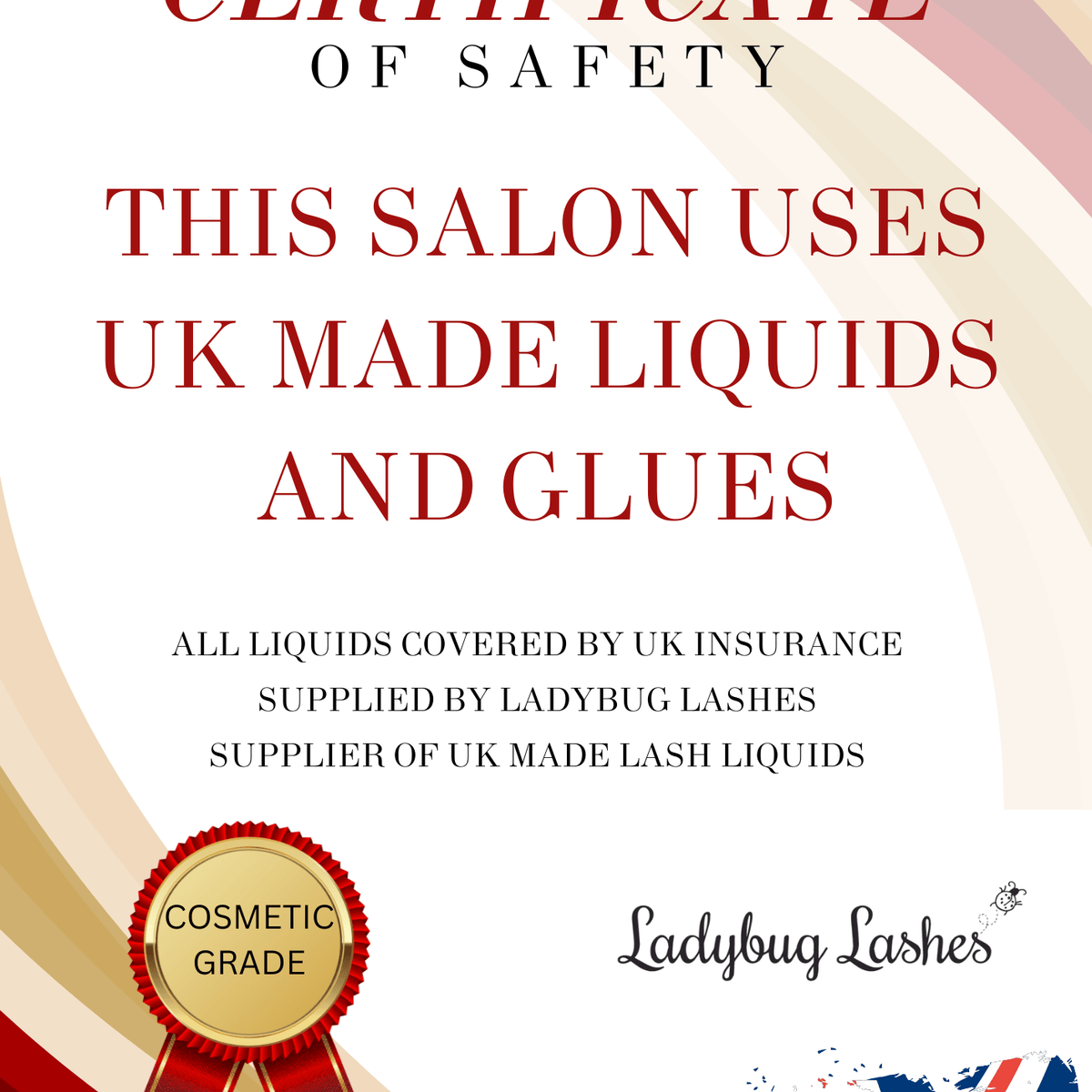 Certificate For Salon - LADYBUGLASHES